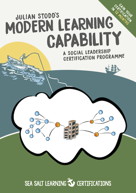 Modern-Learning-Capability-Certification-Brochure-v4 (1) – Sea Salt ...